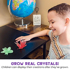 PURPLE LADYBUG Crystal Growing Kit for Kids for 10 Year Old Boys & Science Kits for Kids Age 12-14 - Fun STEM Projects for Kids & Science Experiments Educational Activity Kits for Teens
