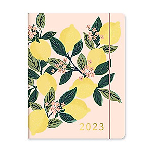 Orange Circle Studio Just Right 2022-2023 Monthly Planner - 17-Month Organizer with Full-Color Monthly Views, Storage Pocket & Elastic Closure - Lemon Tree