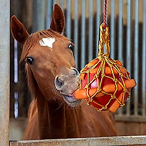 vomvomp Horse Carrot Feed Toy Hanging Carrot Feeding Toy Horse Treat Ball for Horse Stable Stall Rest