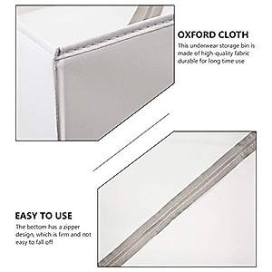 Cabilock Socks Underwear Cloth Drawer Organizer Cabinet Closet Organizer Storage Box with Lid for Clothes Socks Lingerie Underwear Ties