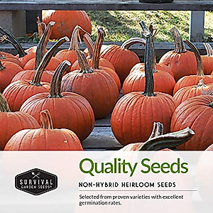 Survival Garden Seeds Pumpkin Collection Seed Vault - Non-GMO Heirloom Seeds for Planting Vegetables - Fairy Tale, Jack O'Lantern, Small Sugar Pumpkins for Growing in Your Vegetable Garden
