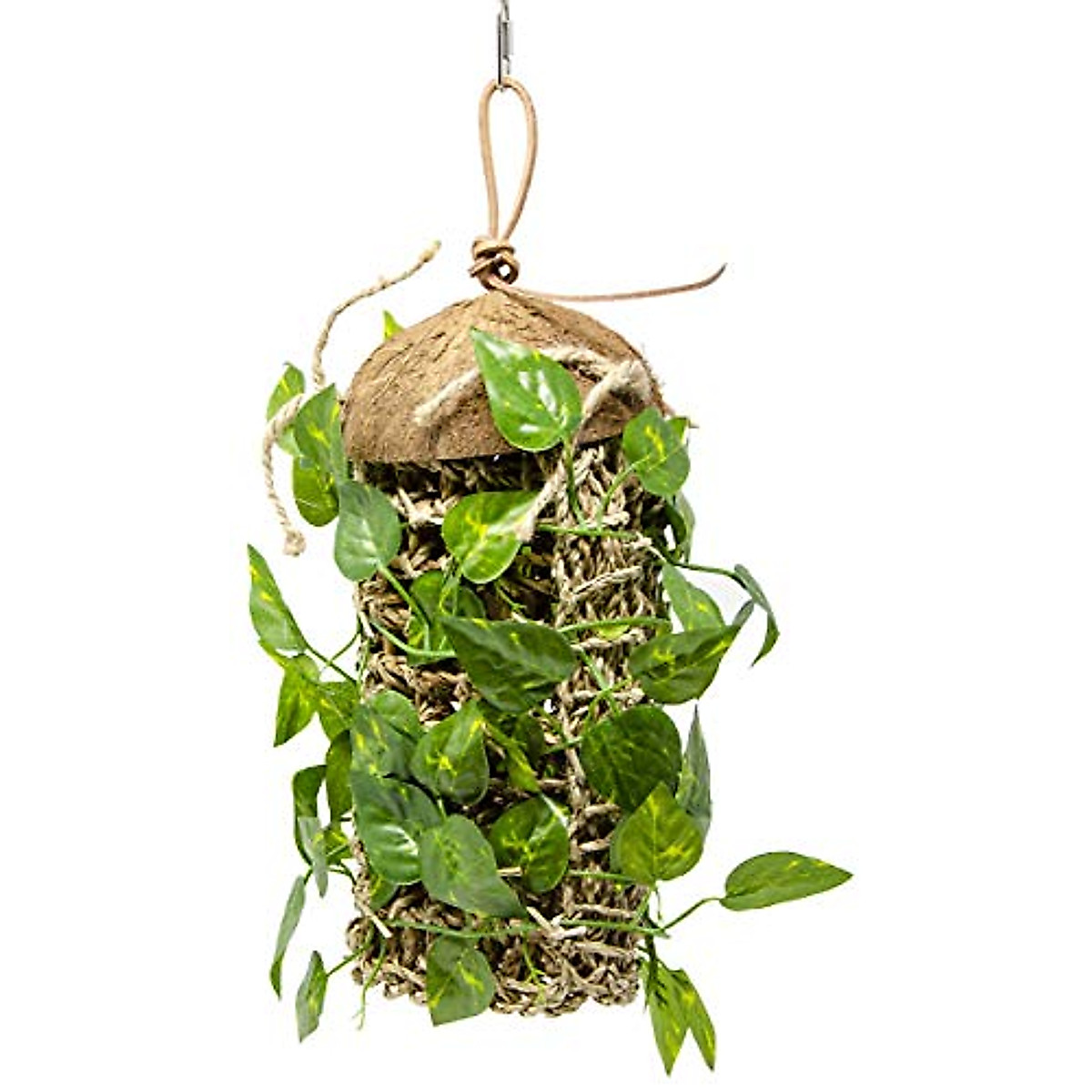 Lizard Lounger Penn-Plax Reptology for Bearded Dragons, Iguanas, and Other Reptiles - Adjustable Hanging (Coconut Climber)