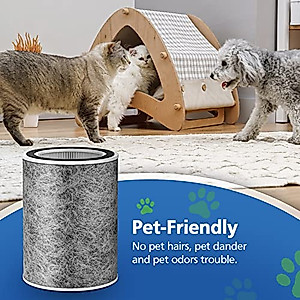 HC502 HP202 Air Purifier MAX Filter with True HEPA Compatible with Shark HC502 & HP200 Series HP202 HP201, HP302 & HP232, Cleans up to 99.97% of particles, Part # HE2FKBAS, # HE2FKBASMB, 1 Pack