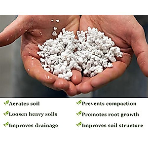 O-FarFarm Chunky Perlite Bulk, Horticultural Pearlite Coarse Perlite for Plants Indoor, Additive Conditioner Mix, Improve Drainage and Ventilation, Help Root Growth(5-10mm, 1qt)