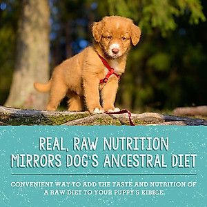 Stella & Chewy's Freeze Dried Raw Meal Mixers – Crafted for Puppies – Grain Free, Protein Rich Perfectly Puppy Beef & Salmon Recipe – 3.5 oz Bag