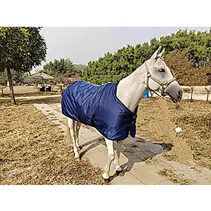 Ankaier 1800 Denier Waterproof and Windproof Winter Turnout Horse Blanket, High-Grade Thermal Insulation Polyfill (250 Grams) Materials, Medium-Weight, Ripstop, Navy Color- 69" inches (Black Edge)
