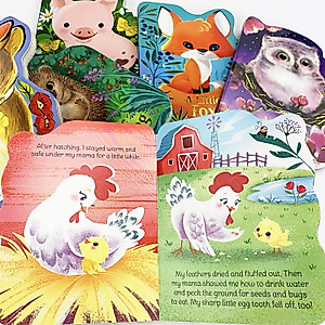 A Little Chick - Children's Animal Shaped Board Book