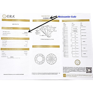 TwoBirch Platinum Plated Sterling Silver Bezel Set Round Cut Moissanite Eternity Ring (GRA CERTIFIED) (2MM) SIZE 6