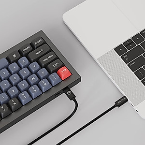Keychron Q2 Wired Custom Mechanical Keyboard Knob Version, 65% Layout QMK/VIA Programmable Macro with Hot-swappable Gateron G Pro Red Switch Double Gasket Compatible with Mac Windows Linux (Black)