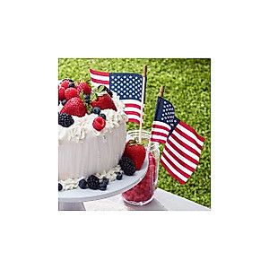 Medium Plastic Serving Tray- Red, White and Blue Patriotic