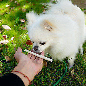 MON2SUN Dog Rawhide Twist Sticks Natural 5 Inch Thin Sticks Rawhide Chews Dog Treats for Puppy and Small Dogs 60 Count, 12.7oz