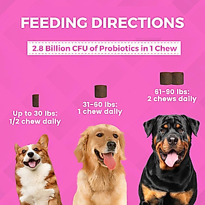 Nootie Progility Pre & Probiotic Supplement, Digestive Aid Supplement for Dogs, 90 Soft Chews per Container