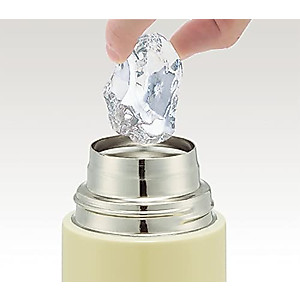 Skater SDC6N-A My Neighbor Totoro Sanpomichi Ghibli Children's Stainless Steel Water Bottle, Direct Drinking 20.9 fl oz (580 ml)