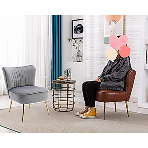 DUOMAY Modern Accent Chair Set of 2 Velvet Slipper Chair with Gold Legs Wingback Side Chair for Living Room Bedroom Entryway Small Corner Chair for Space Saving, Grey