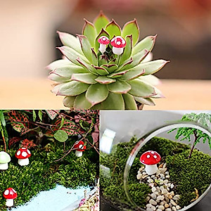 JKanruh 80 Pcs Tiny Mushrooms,Miniature Mushrooms,Fairy Garden Moss Landscape Ornaments for Outdoor Decoration,Home Décor (red)