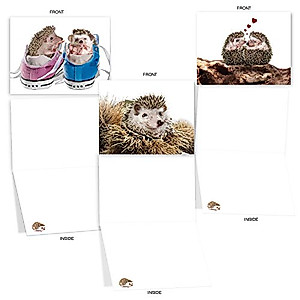 The Best Card Company - 10 Blank Animal Cards Boxed (4 x 5.12 Inch) - Assorted Pets, Zoo, Wildlife Cards for Kids - Cards from the Hedge M6541OCB
