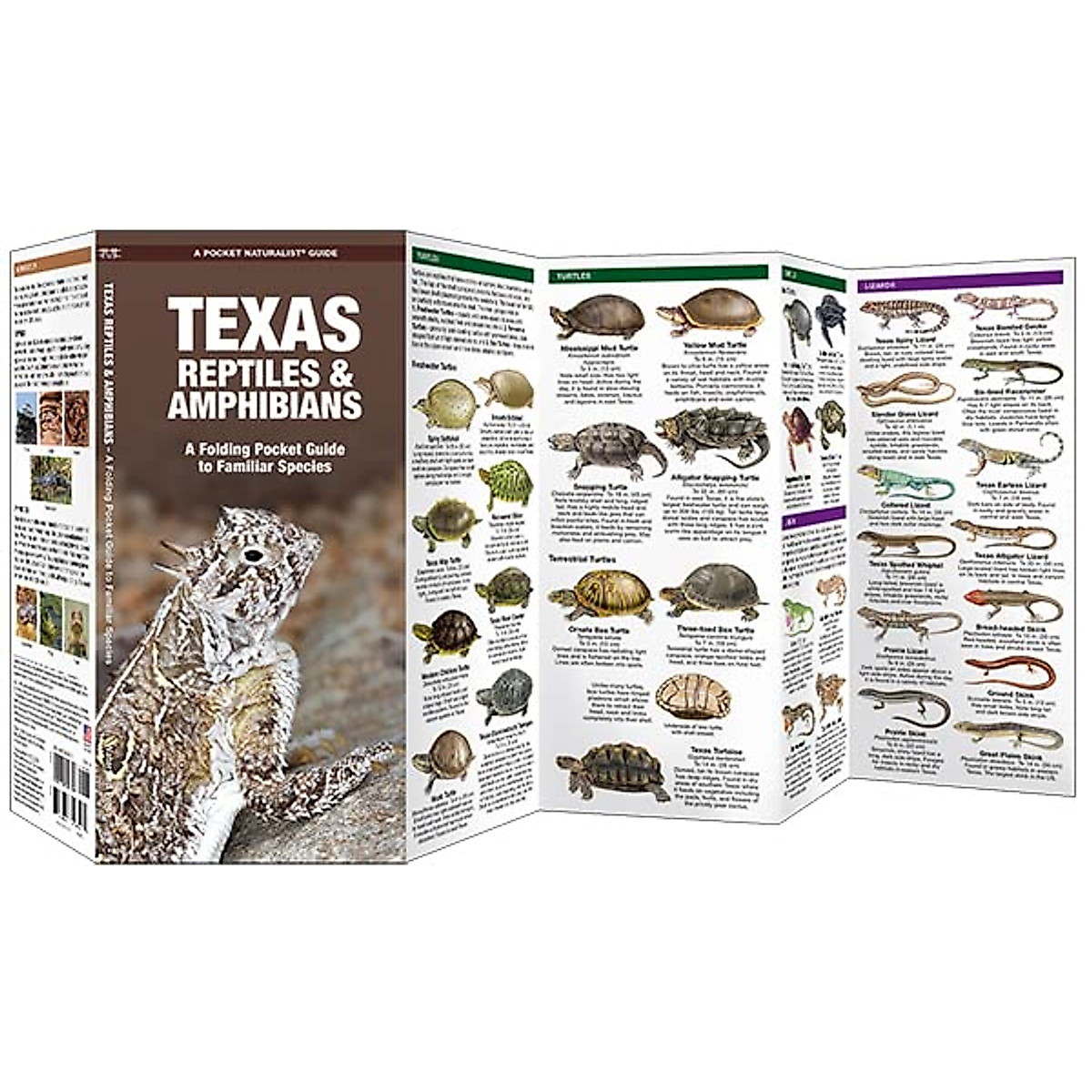 Texas Reptiles & Amphibians: A Folding Pocket Guide to Familiar Species (Nature Observation North America)