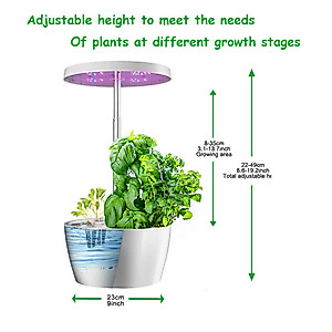 EVERECOO Hydroponics Growing System, 4 Pods Indoor Herb Gardening System with LED Grow Lights, Automatic Timer and Pump, Hydroponic Plant Germination Kits for Vegetable/Lettuce