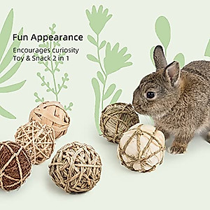 andwe Small Animals Play & Activity Balls Rolling Chew Toys for Rabbits Guinea Pigs Chinchilla