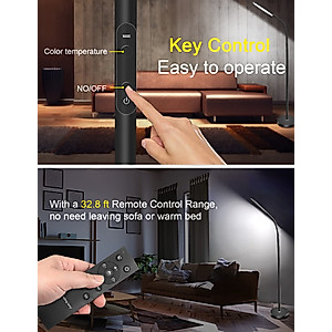 Hyskostar LED Floor Lamp, Bright Floor Lamps for Living Room with 1H Timer, 2700K-6500K Brightness Adjustable Gooseneck Standing Lamp with Remote & Touch Control Reading Floor Lamps for Bedroom