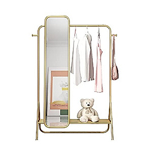 Garment Rack with Mirror Clothes Rack Clothes Organizer with Hooks and Storage Shelf Heavy Duty Sturdy Metal Clothing Coat Rack for Hanging Clothes Display and Storage (Color : Gold, Size : 120cm/47
