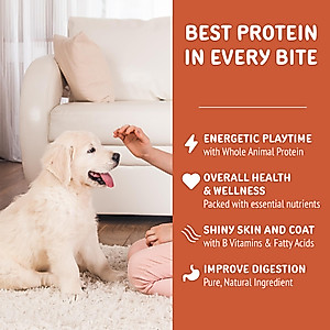 BAYPIE Freeze-Dried Raw Dog Food Topper High Protein Chicken & Pumpkin Recipe for Gut Health, Grain-Free Meal Mixers for Dogs– 14 oz