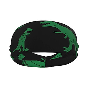 AMRANDOM Men and Women Sweatband Green Dinosaur Sports Sweatband Breatheable Sports Headband for Running, Cross Training, Yoga, Bike