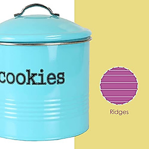 Home Basics 4.2 Liter Large Cookie Jar (Turquoise) Cookie Jars For Kitchen Counter | Cute Cookie Jar With Lid
