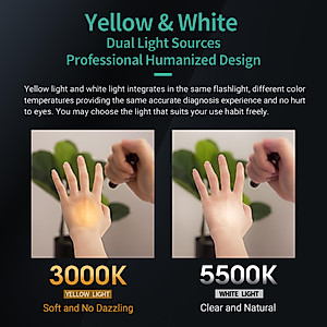 NEXTORCH Medical LED Pen Light with Pupil Gauge Nurse Penlight for Doctor Nurse Stethoscope Healthcare Nursing School Students Light Medical Equipment (Rechargeable) DR K3 PRO