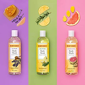 Burts Bees Lavender & Honey Body Wash, 12 Oz - Pack of 3 (Package May Vary)