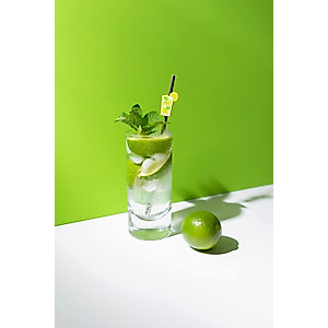 Nod Products Steel Straws with Engraved Recipes and Silicone Charms Strawtails, 8-inch Length, Set of 4, Mint Mojito