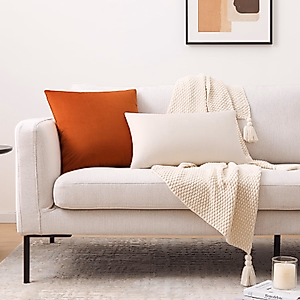 Mixhug Set of 2 Cozy Velvet Square Decorative Throw Pillow Covers for Couch and Bed, Burnt Orange, 18 x 18 Inches