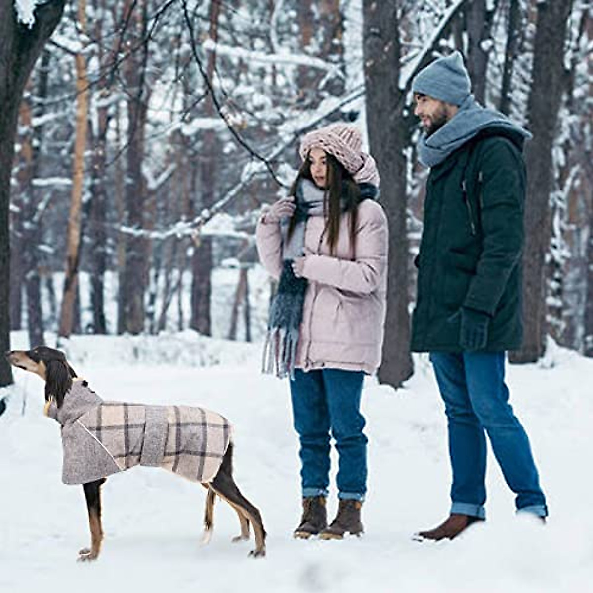 ROZKITCH Dog Coat Winter Jacket Reflective Cold Weather Fleece Coats Vest, Pet Thick Warm Windproof High Collar Clothes Outfits for Small Medium Large Dogs, British Plaid Dog Apparel with Leash Hole