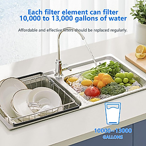 BLUERISE 5 Micron 10"x2.5" Wire Wound Whole House Water Filter Replacement Cartridge - 6 Pack