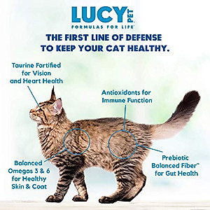 Lucy Pet Cat Salmon, Pumpkin, & Quinoa 10lb