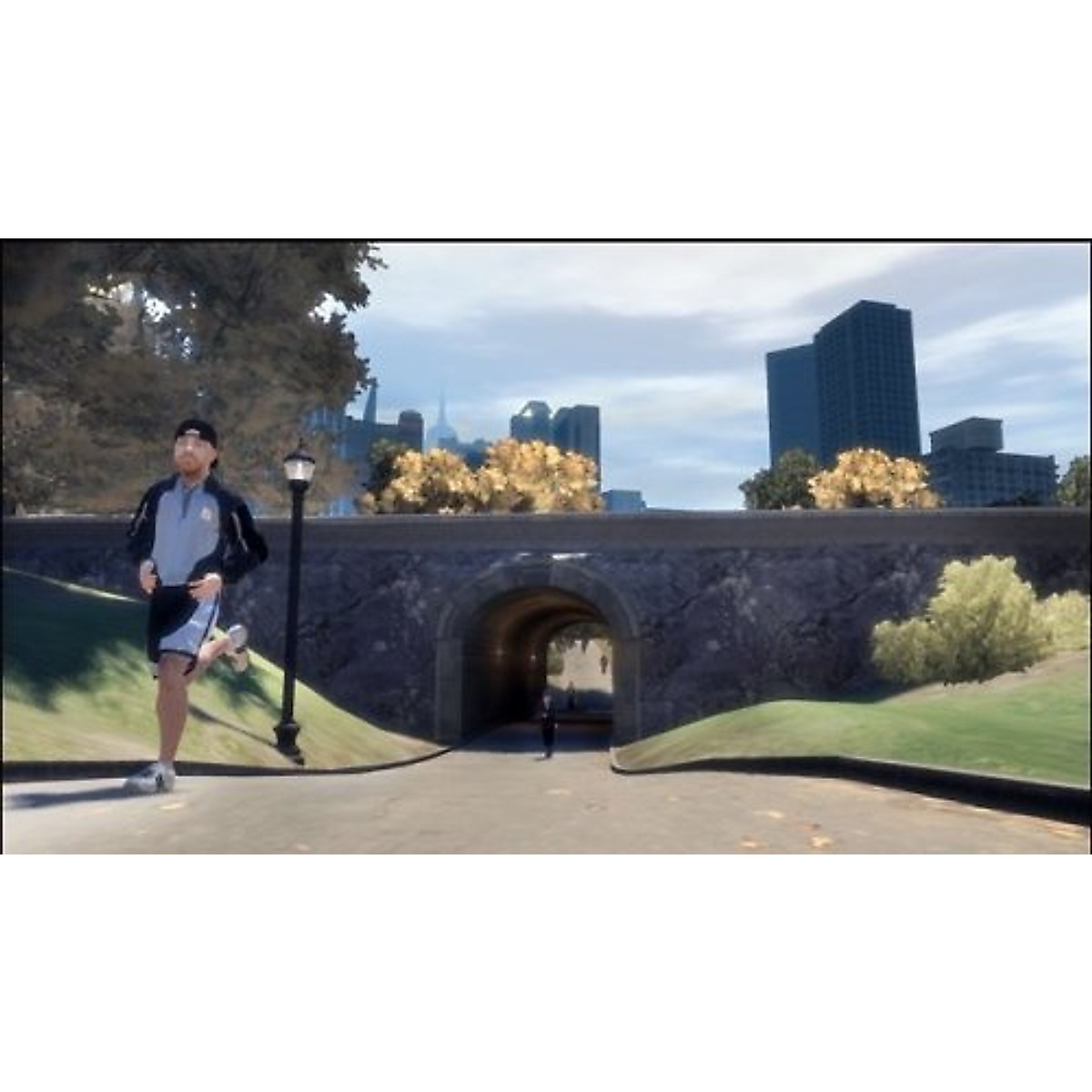 Grand Theft Auto 4(PS3)