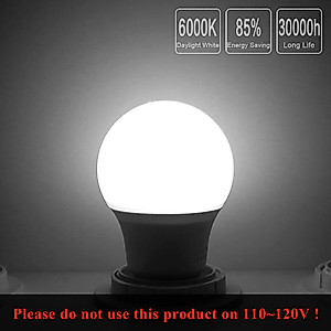 Honle E26 LED Light Bulbs 3W 12V Low Voltage Daylight White 6000K E27 Edison Standard Screw Base 25W Equivalent for Rv, Off Grid Solar Panel Project, Boat, Pack of 2