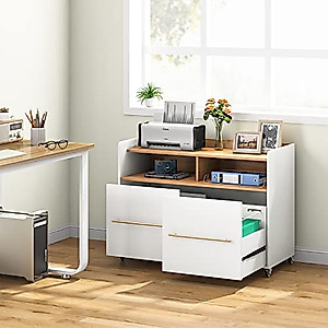 LITTLE TREE 2 Drawer File Cabinet Rolling Filing Cabinets with Wheels, Lateral File Cabinet for Letter Size, Printer Stand and Open Storage Shelves for Home Office, White