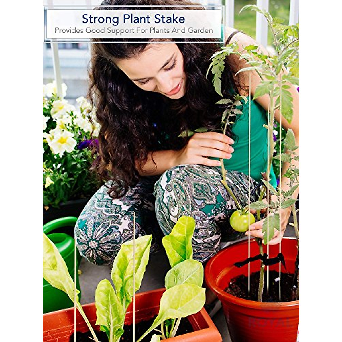 Royal Imports 18" Natural Bamboo Wood Plant Stake, Floral Picks, Roasting Sticks, Wooden Kebob Grilling Skewers, Sign Posting (100 Pcs)