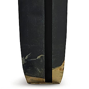 Witches Sabbath Flight Goya Tote Bag