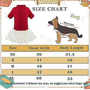Dog Knitted Sweater Dress Lace Tulle Tutu Outfit Skirt with Heart Pattern for Small Medium Girl Dogs Christmas Birthday Party (Red, S)
