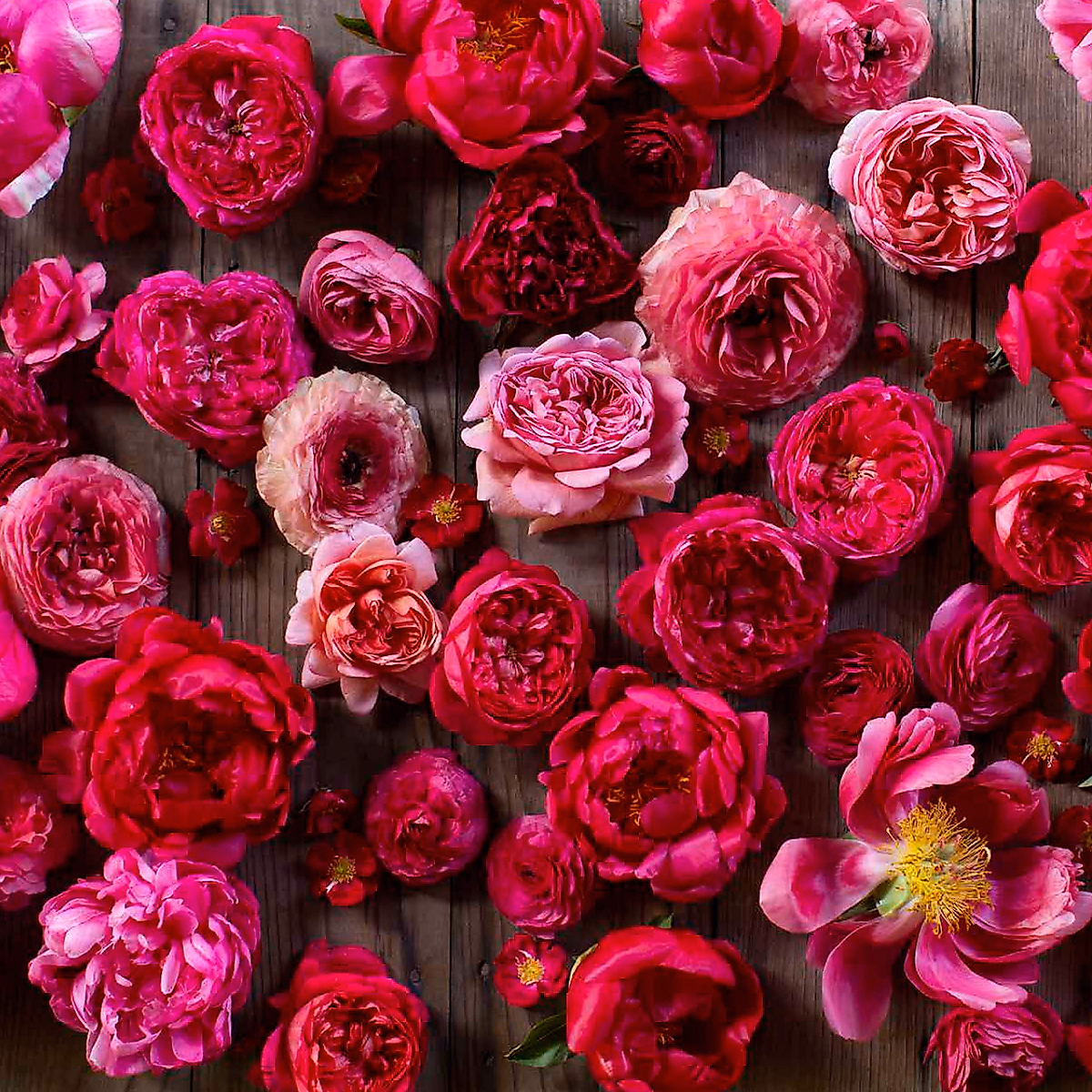 Floret Farm's A Year in Flowers 2021 Wall Calendar: (Gardening for Beginners Photographic Monthly Calendar, 12-Month Calendar of Floral Design and Flower Arranging)