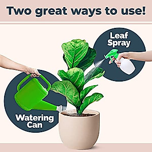 Fiddle Leaf Fig Plant Food for All Fig and Other Ficus Trees, Liquid Houseplant Fertilizer 8 oz (250mL)