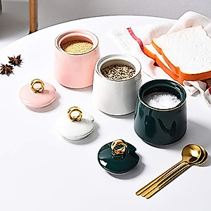 LIONWEI LIONWELI White Sugar Bowl Dispenser Salt Container Ceramic Sugar Bowl with Lid and Spoon for Home and Kitchen