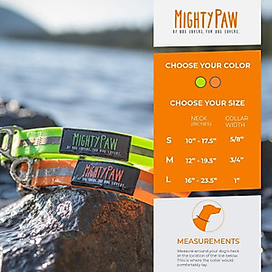 Mighty Paw Waterproof Dog Collar - Smell-Proof Active Gear - Reflective Stripe Coated Nylon Webbing - Dog Swim Collar - Smell Resistant Dog Collar - Dog Collar for All Dog Breeds - (Orange, Medium)