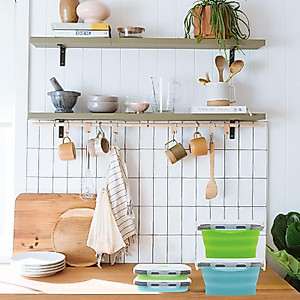 ABSOK 2 Pcs Collapsible Food Storage Containers with Lids and Vent, Silicone Food Storage Containers, Microwave Freezer Dishwasher Safe