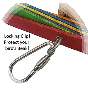 Tropical Chickens Chewing Stick with Wood Block Toy - Multicolored Natural Eco-Friendly Enrichment Toy with Bell for Bird Enrichment Conure Lovebird Cockatiels Small and Medium Birds