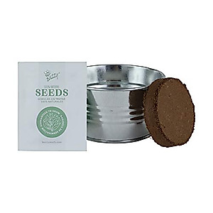 BUZZY Kids Mini Basin Seed Grow Kit | Strawberry | Kids Collection | Best Gardening Gifts, Favors, Weddings, Parties, Events, Modern, Trendy, Unique, and Fun | Growth Guaranteed