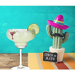 Simply Charmed Cinco de Mayo Party Supplies - Magnetic Wine Glass Charms for Margaritas, Wine Glasses and More