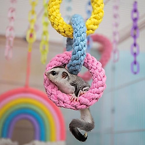 DONGKER Sugar Glider Hanging Climbing Toys,Hanging Three-Ring Swing Cage Toy for Sugar Glider Ferret Hamster Squirrel Chinchilla Parrots Climbing Exercising